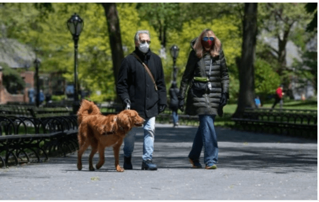 Duolingo Image Description Questions & Answers. – English World